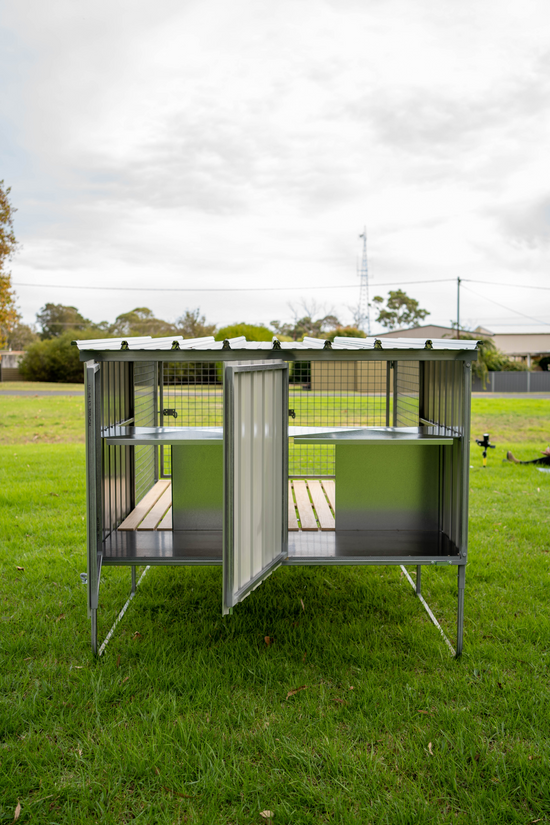 Premium 2 Bay - Assembled – Raised Run Dog Kennels