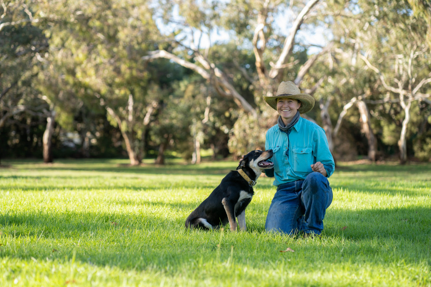 For the Aussie Working Dog – Raised Run Dog Kennels