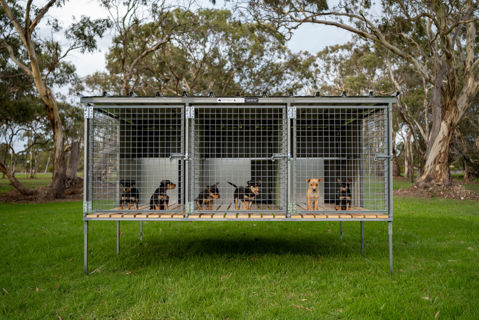Premium Kennels – Raised Run Dog Kennels